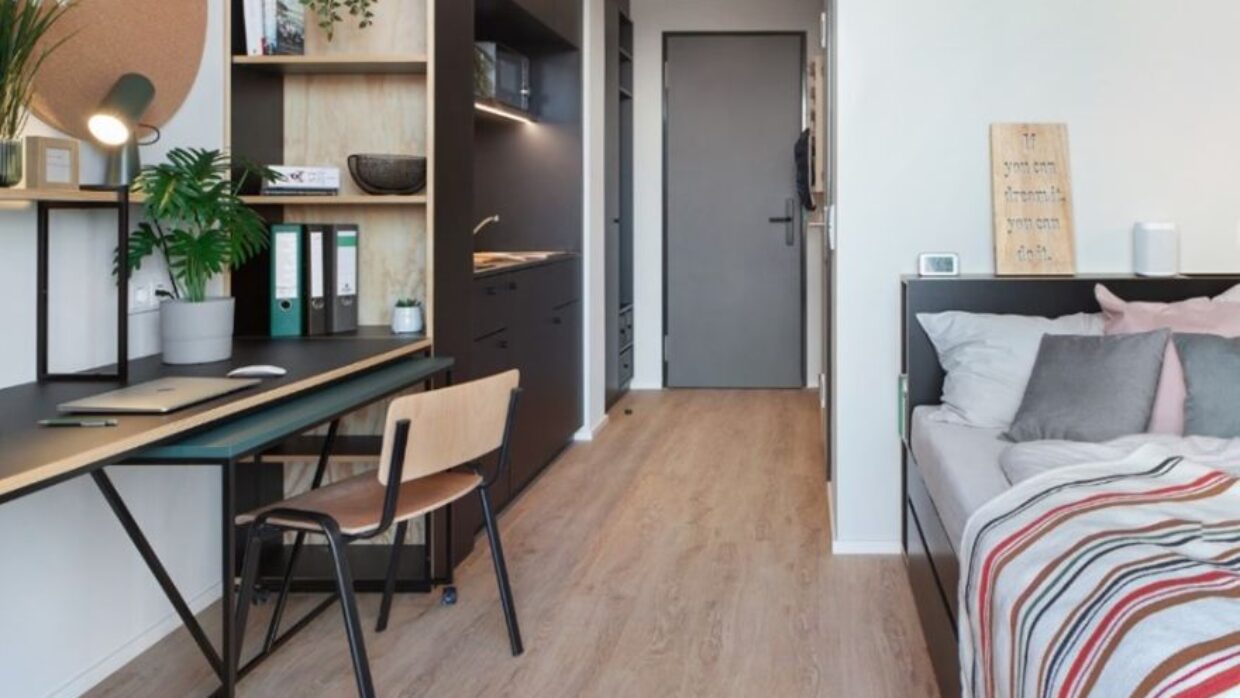 Student Berlin Neon Wood