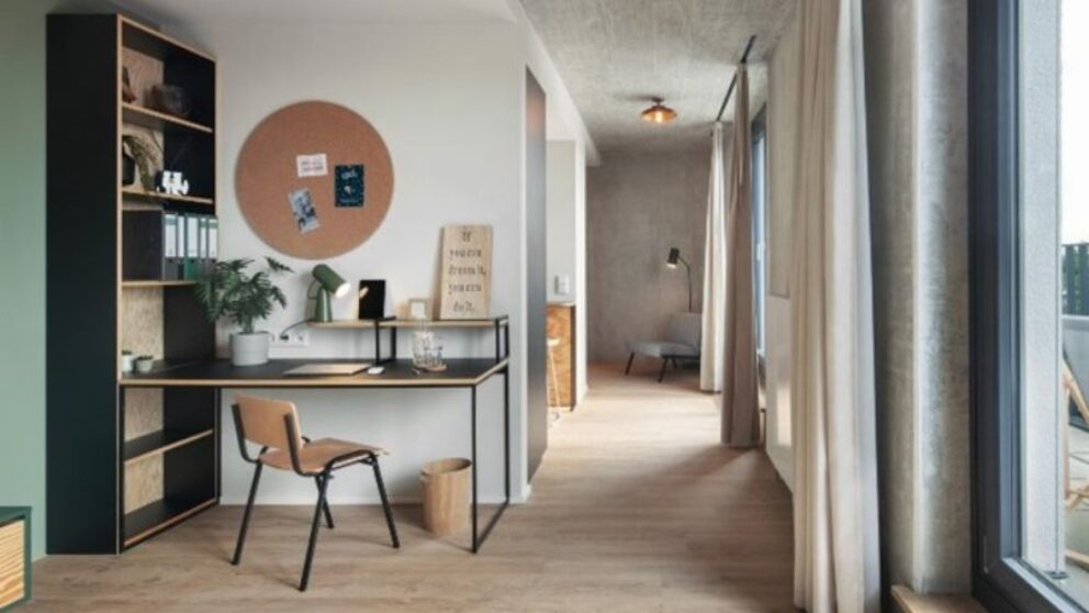 Neon Wood: Student Loft